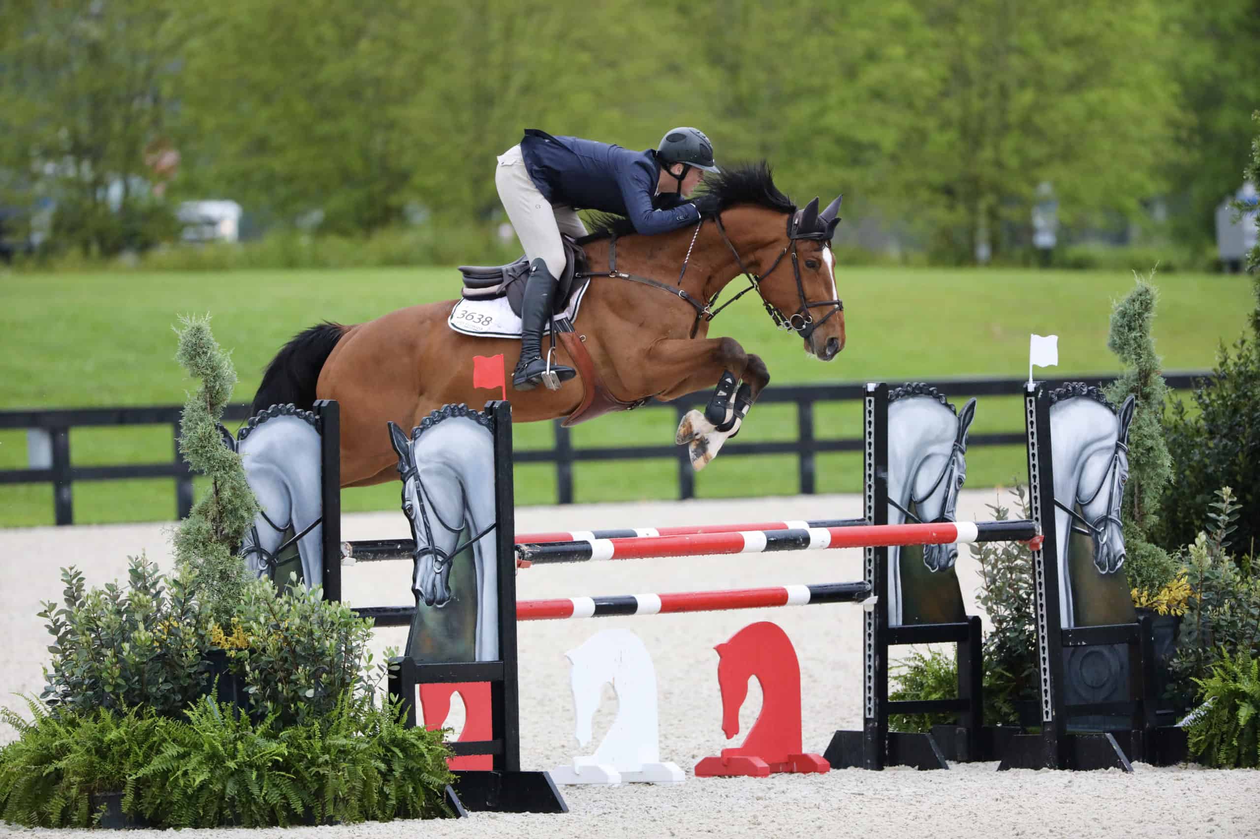 Emerald RC - Rancho Corazon | Holsteiners